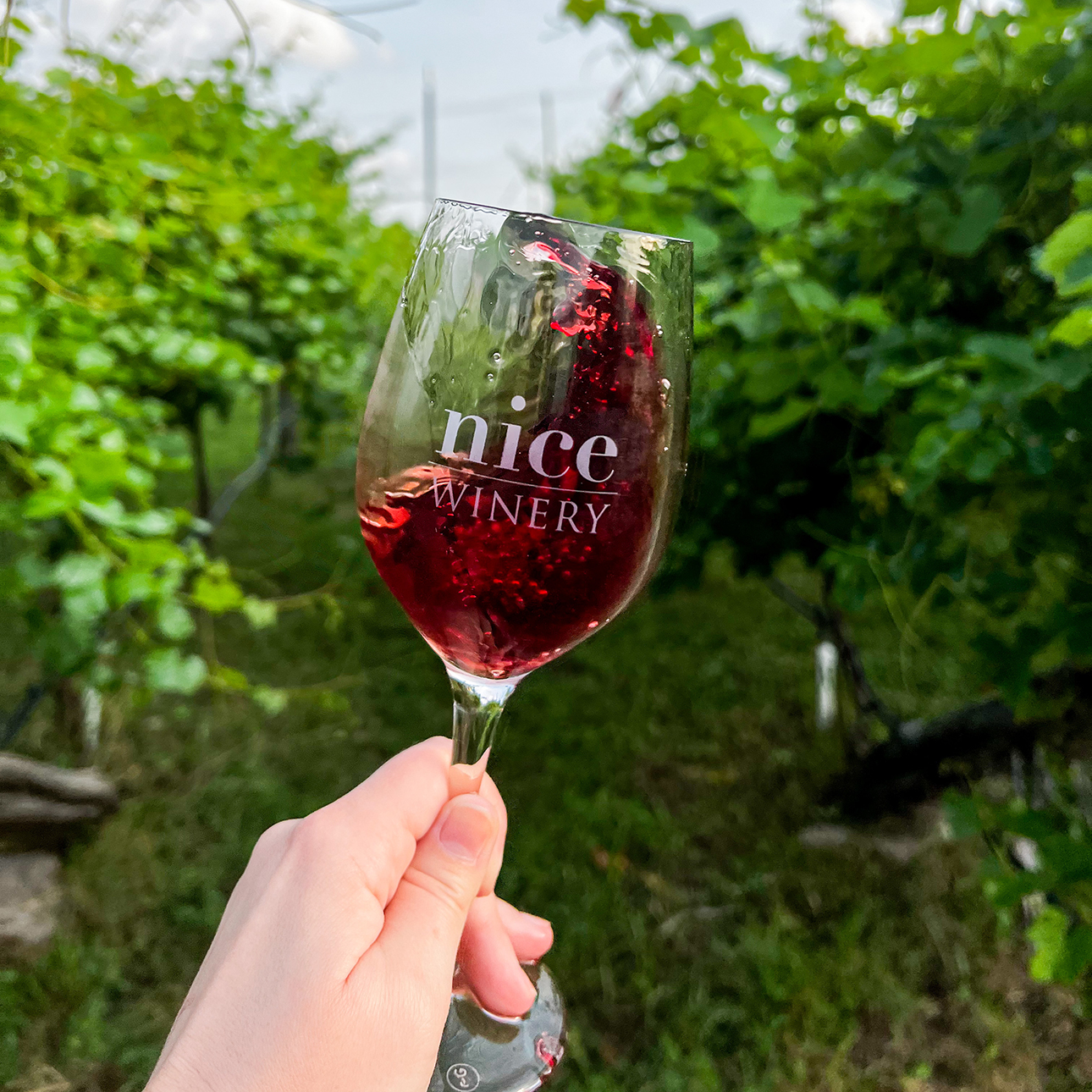 Home - Nice Winery